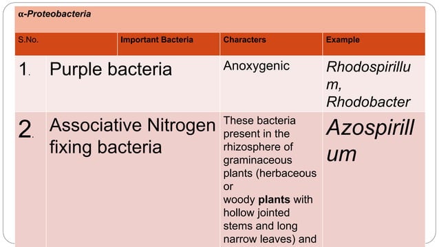 CLASSIFICATION OF BACTERIA | PPTX