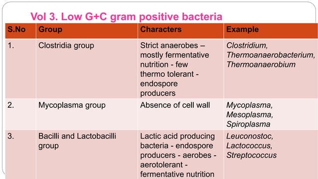CLASSIFICATION OF BACTERIA | PPTX