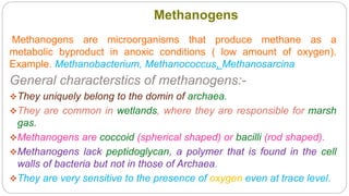 CLASSIFICATION OF BACTERIA | PPTX