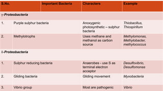 CLASSIFICATION OF BACTERIA | PPT