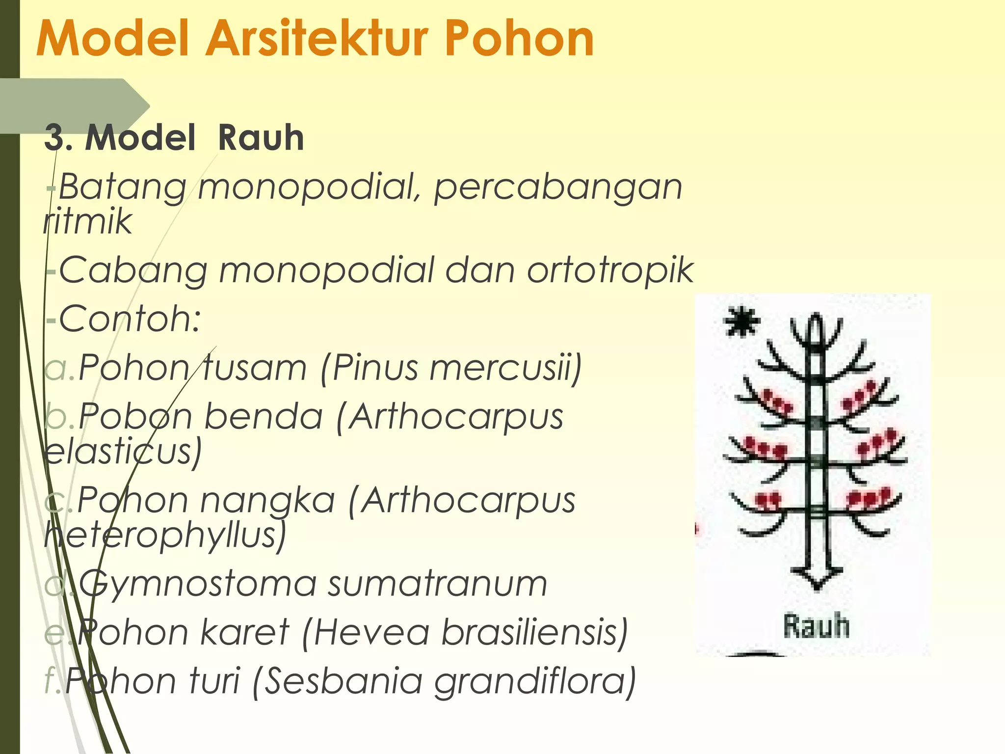 Arsitektur pohon | PPT