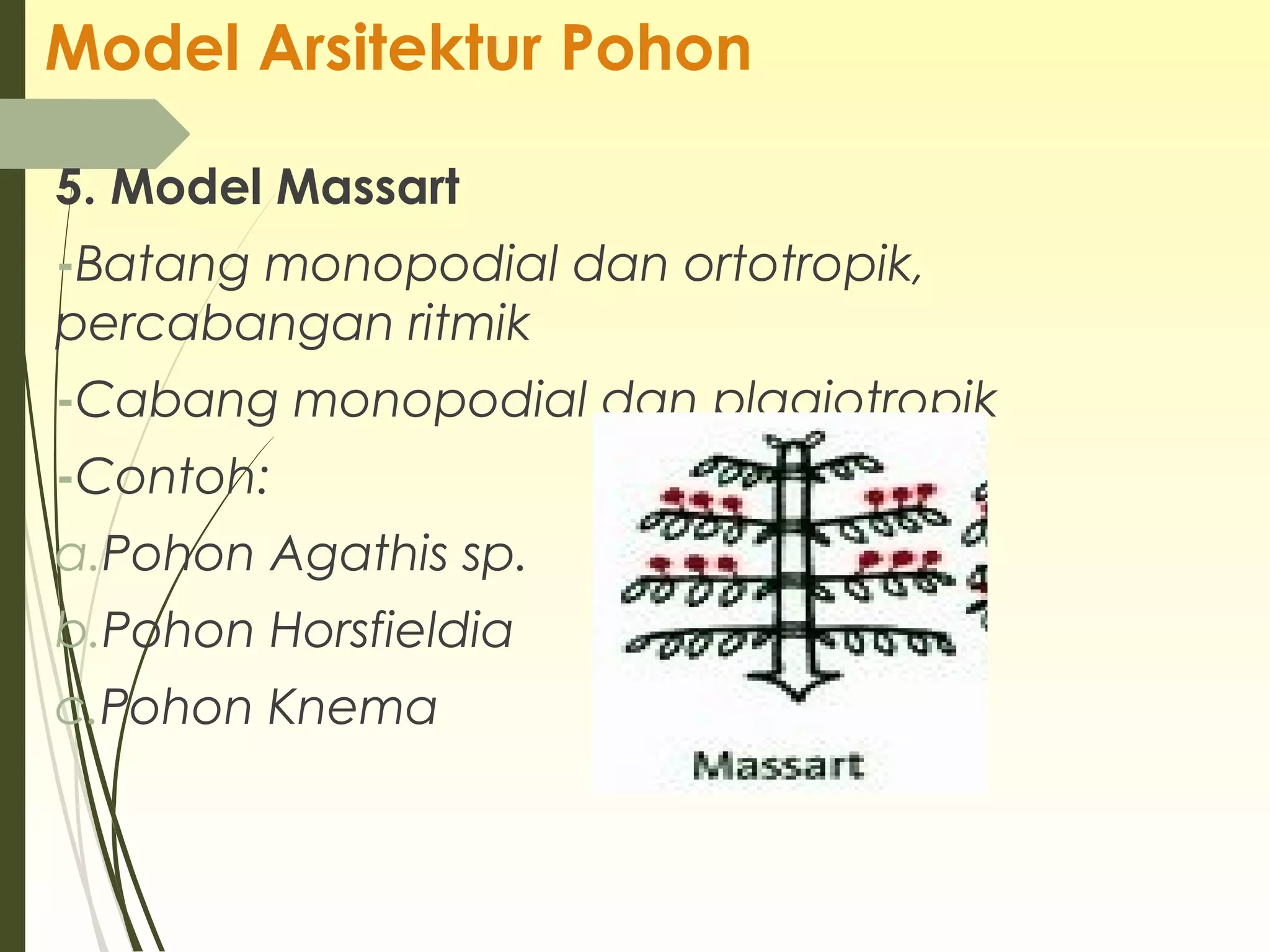 Arsitektur pohon | PPT