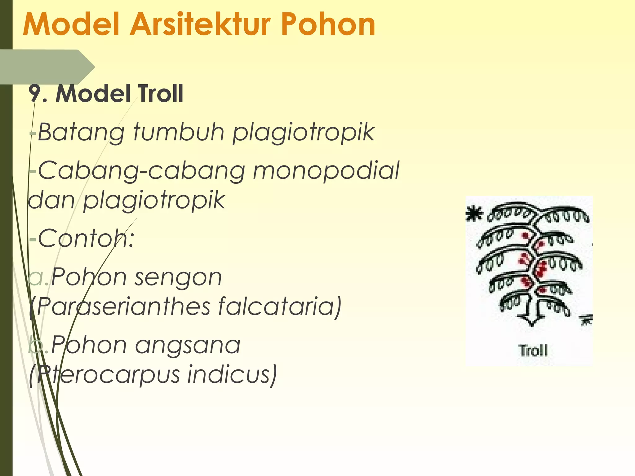 Arsitektur pohon | PPT