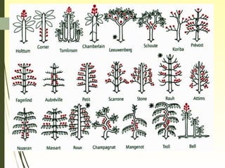 Arsitektur pohon | PPT