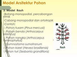 Arsitektur pohon | PPT