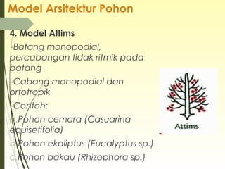 Arsitektur pohon | PPT