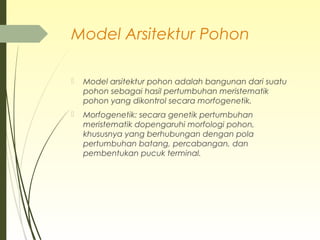Arsitektur pohon | PPT