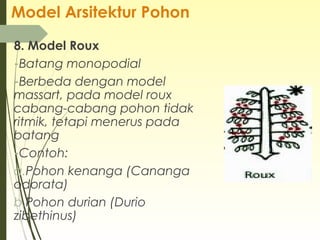 Arsitektur pohon | PPT
