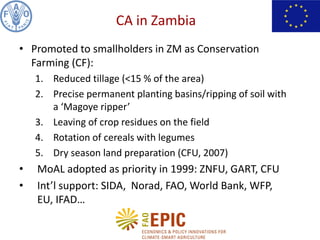 Adoption and Intensity of Adoption of Conservation Farming Practices in ...
