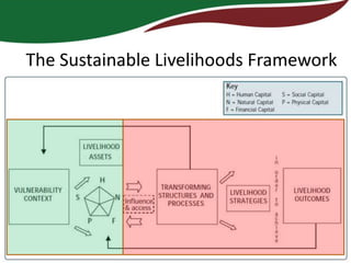 An introduction to the sustainable livelihoods framework | PPTX