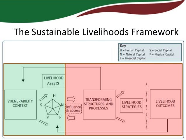 An introduction to the sustainable livelihoods framework