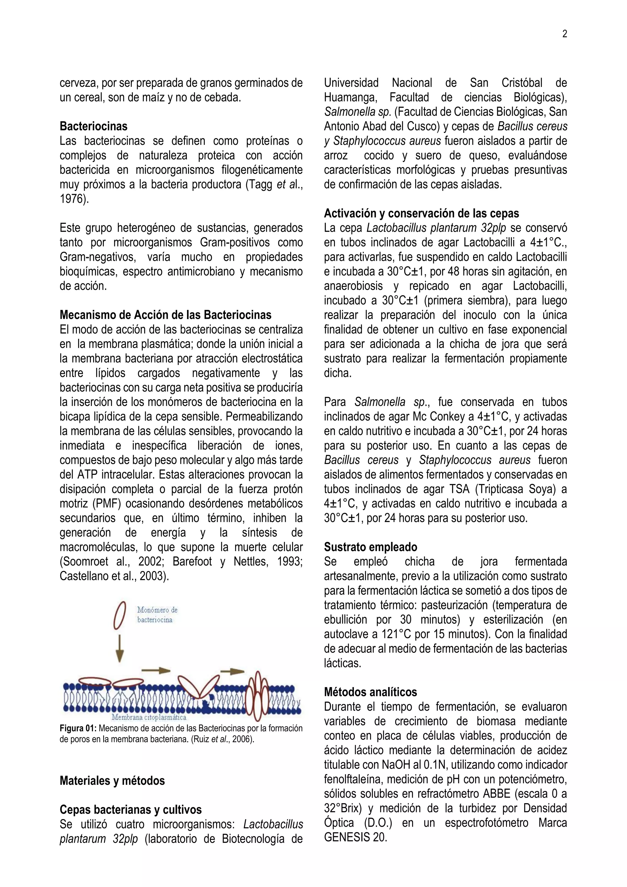 Art. producción de bacteriocina utilizando como sustrato chicha de jora ...