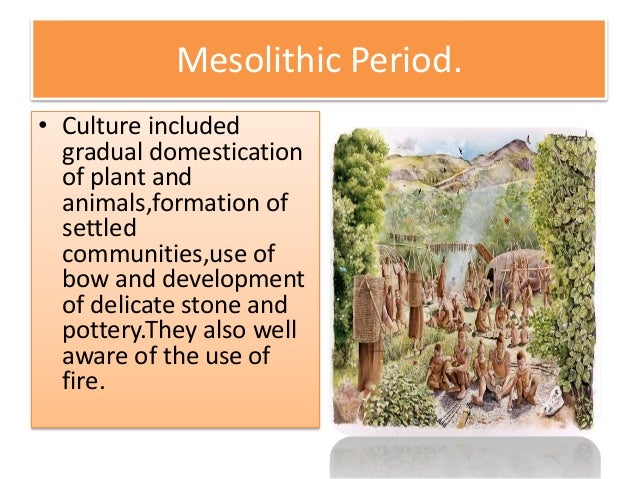 Mesolithic Meaning