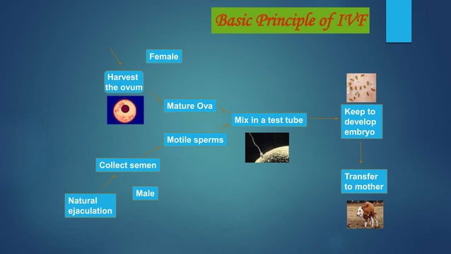 ART ( ASSISTED REPRODUCTIVE TECHNOLOGIES).THIS THE ARTIFICIAL ...