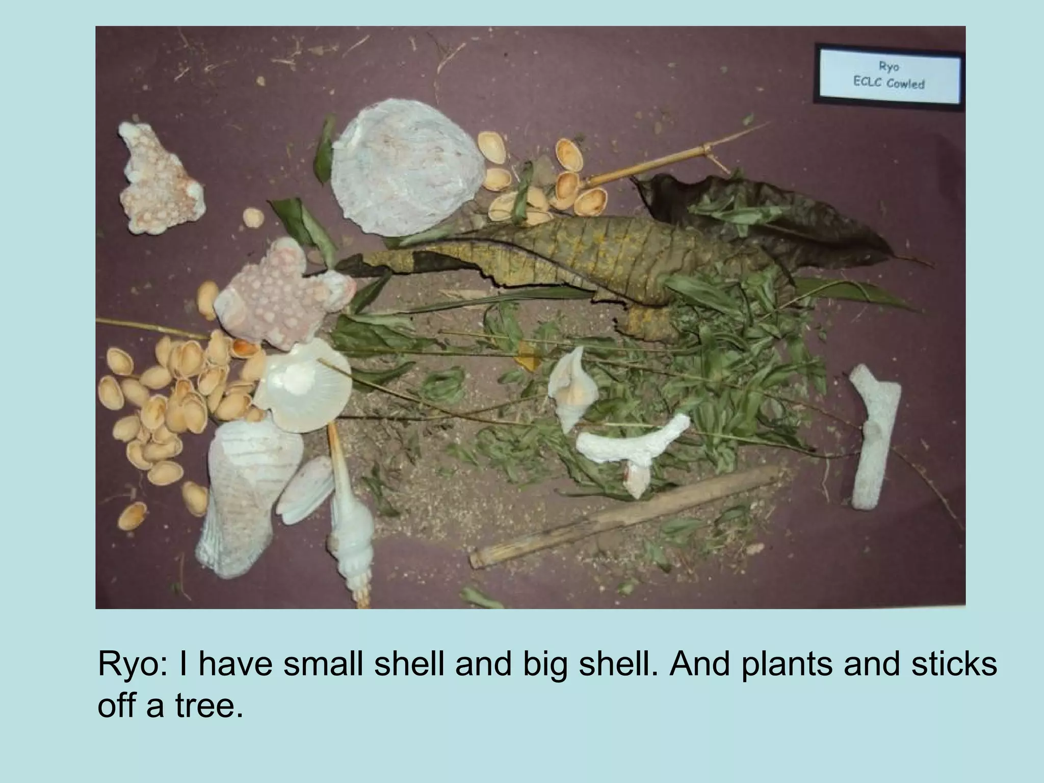 Art Natural Objects | PPT