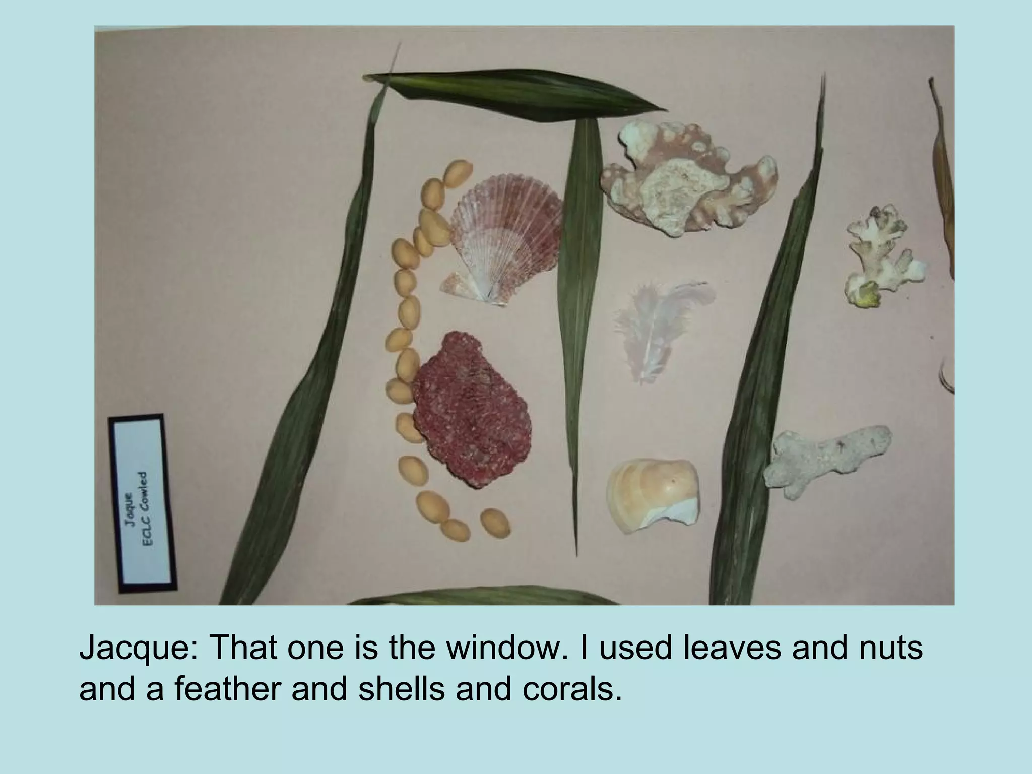 Art Natural Objects | PPT