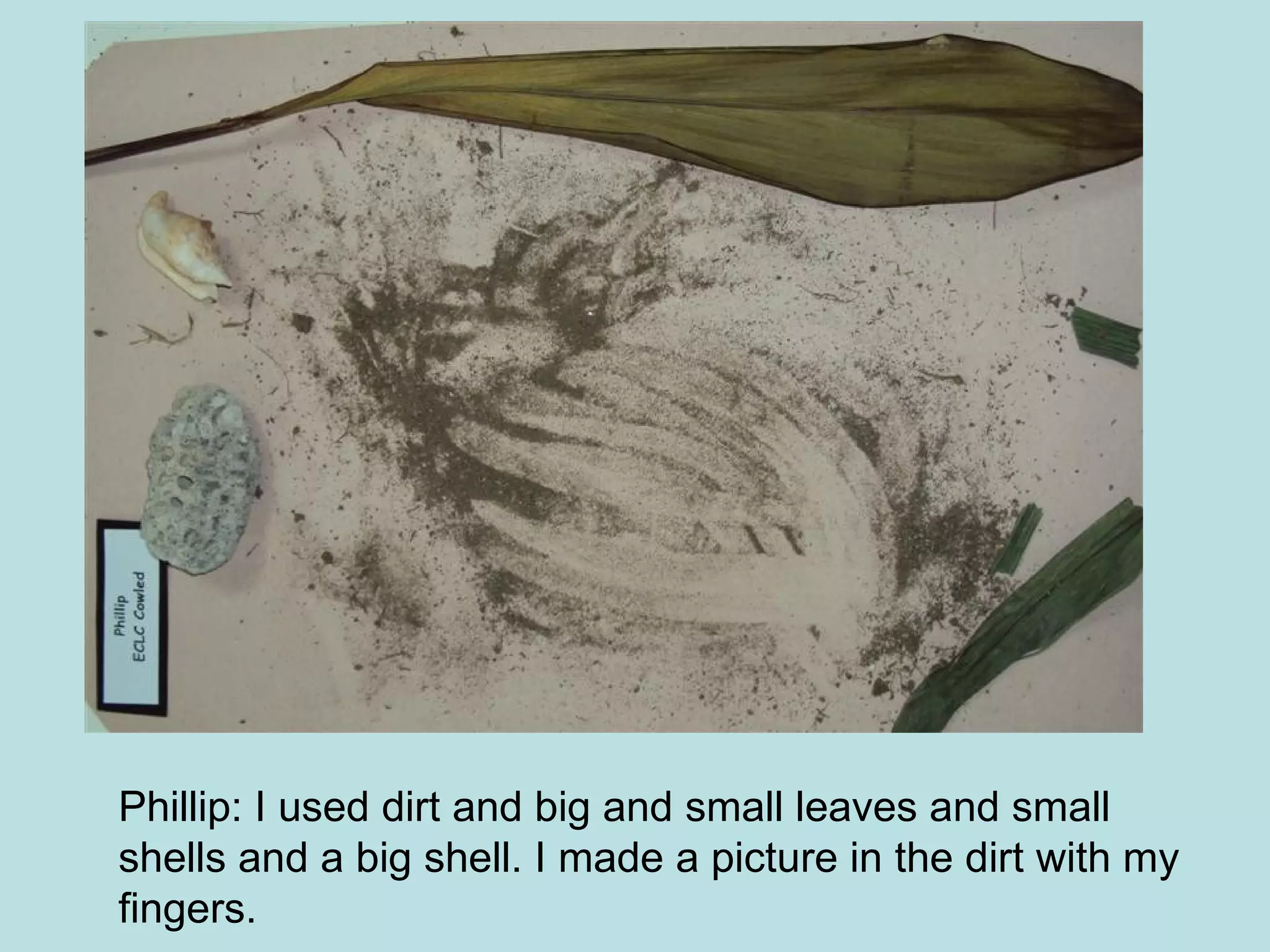 Art Natural Objects | PPT