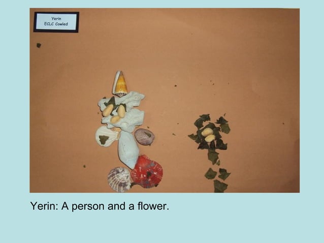 Art Natural Objects | PPT