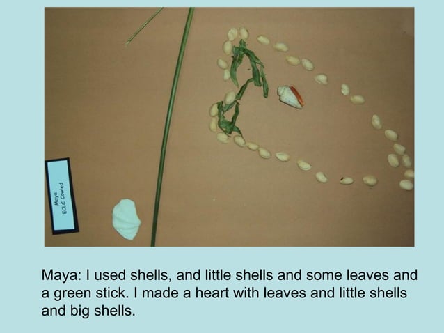 Art Natural Objects | PPT