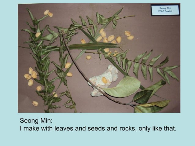 Art Natural Objects | PPT