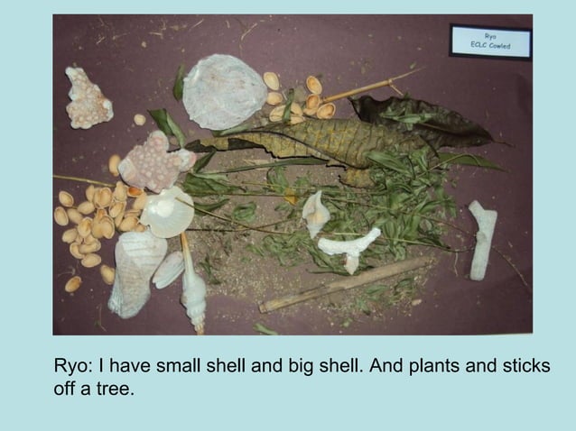 Art Natural Objects | PPT