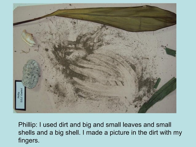 Art Natural Objects | PPT