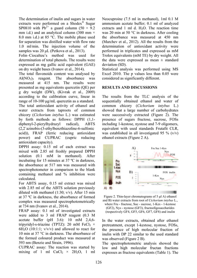 Art21 chicorium intubus | PDF