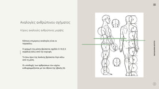 Anatomy for drawing | PDF
