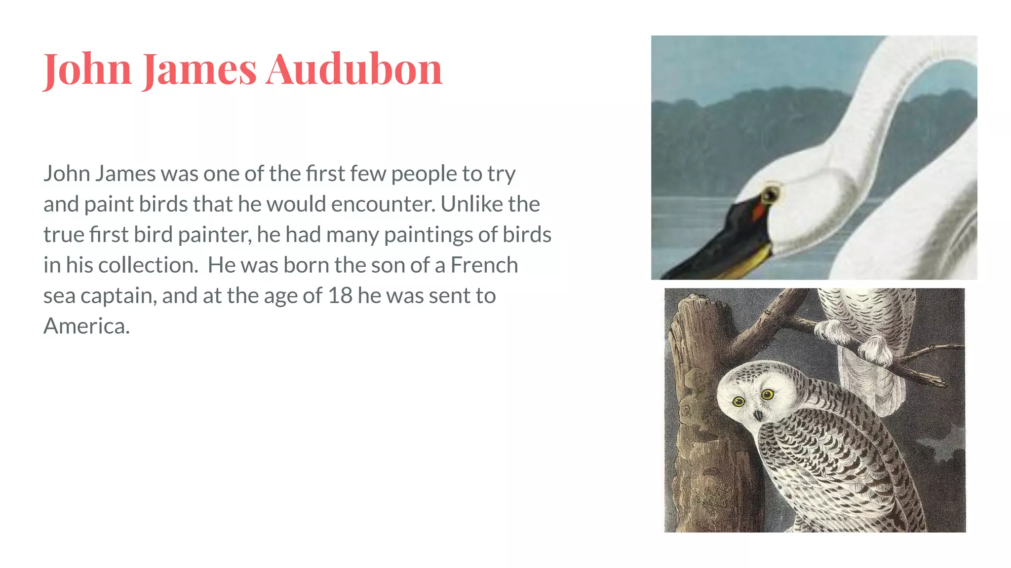 Art and Literature | PDF