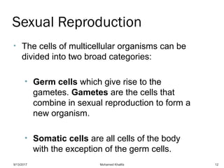 Art and oocyte maturatio | PPT