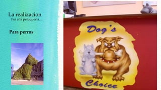 MCDEM 2012-2013, Art con pelo | PPT