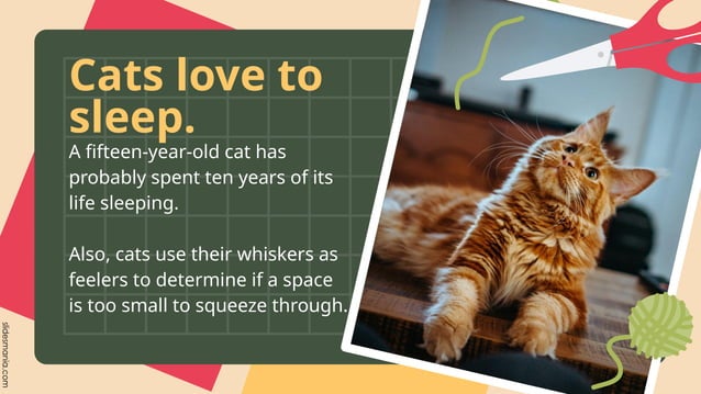 Art & Crafts · SlidesMania.powerpoint... | PPTX | Cats | Pets