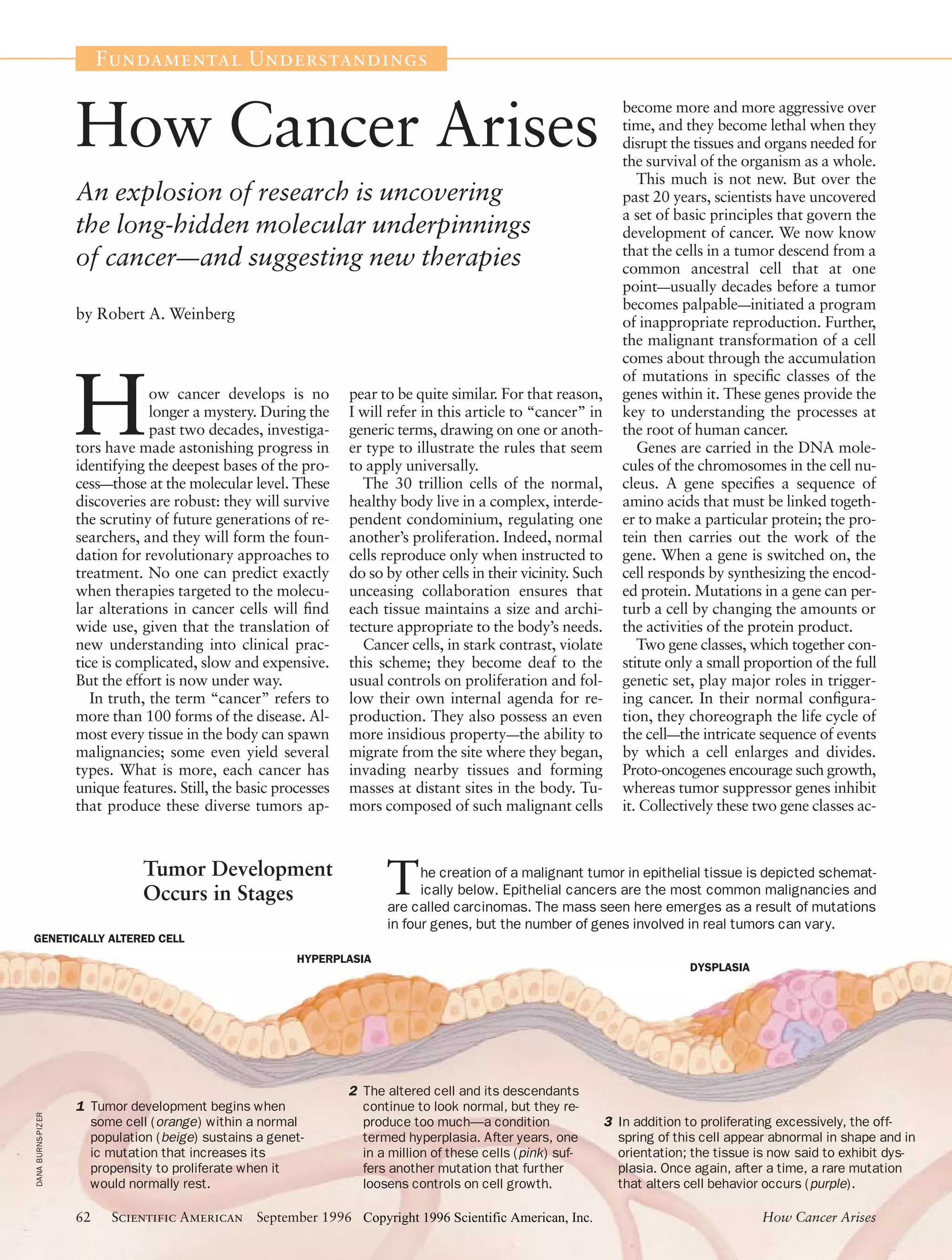 Artículo how cancer | PDF