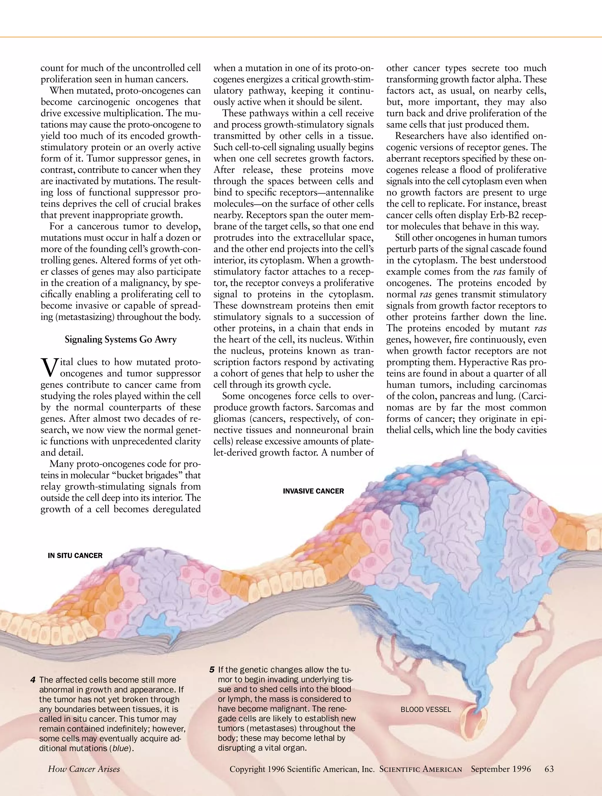 Artículo how cancer | PDF