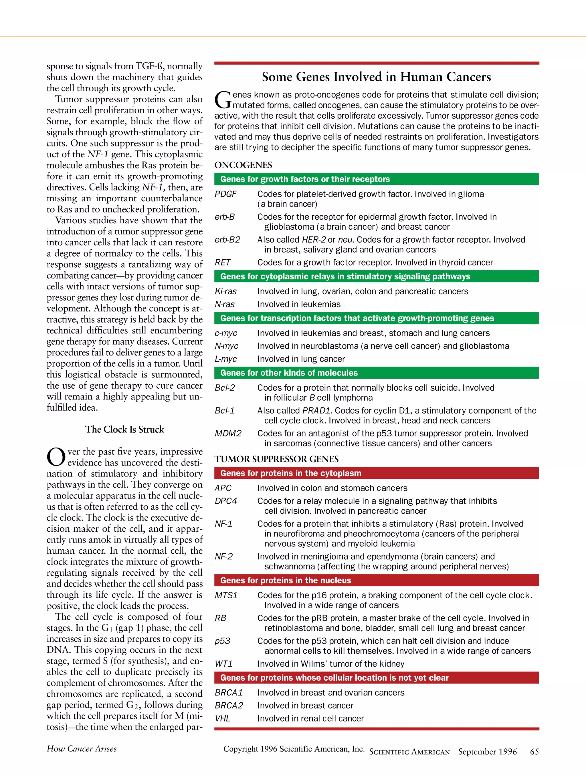 Artículo how cancer | PDF