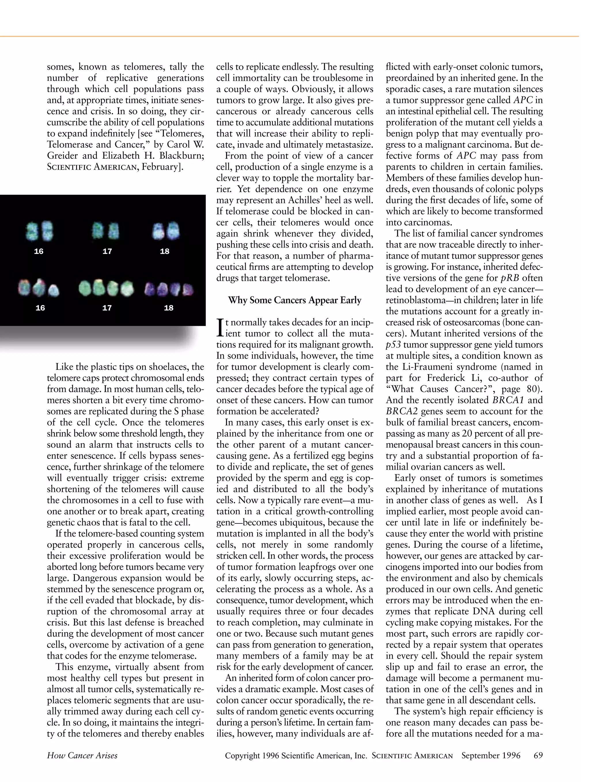 Artículo how cancer | PDF
