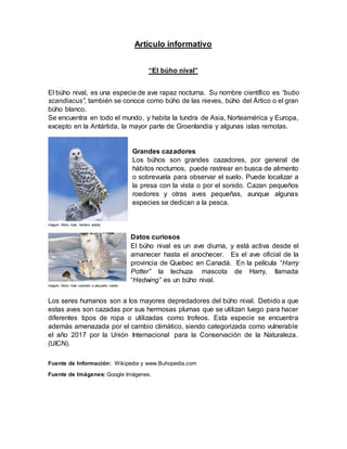 Artículo informativo el búho nival- | DOCX