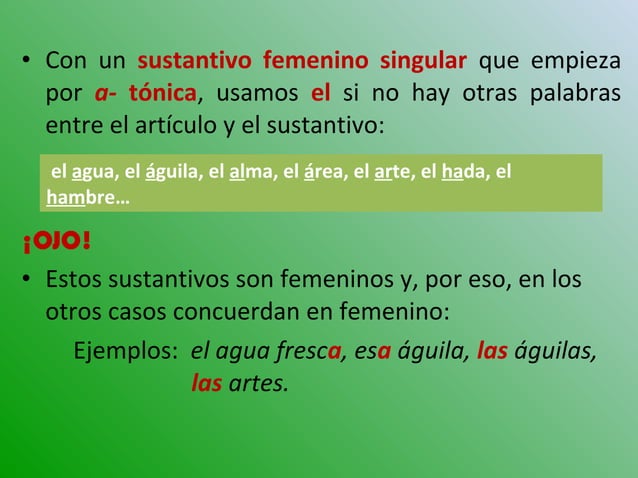 Artículos definidos indefinidos | PPT