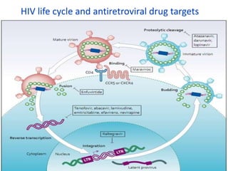 Hiv Life Cycle And Drug Targets
