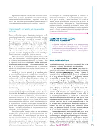 Arteagacardiovascularpdf