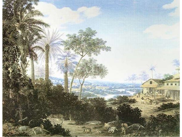 Arte colonial brasileira