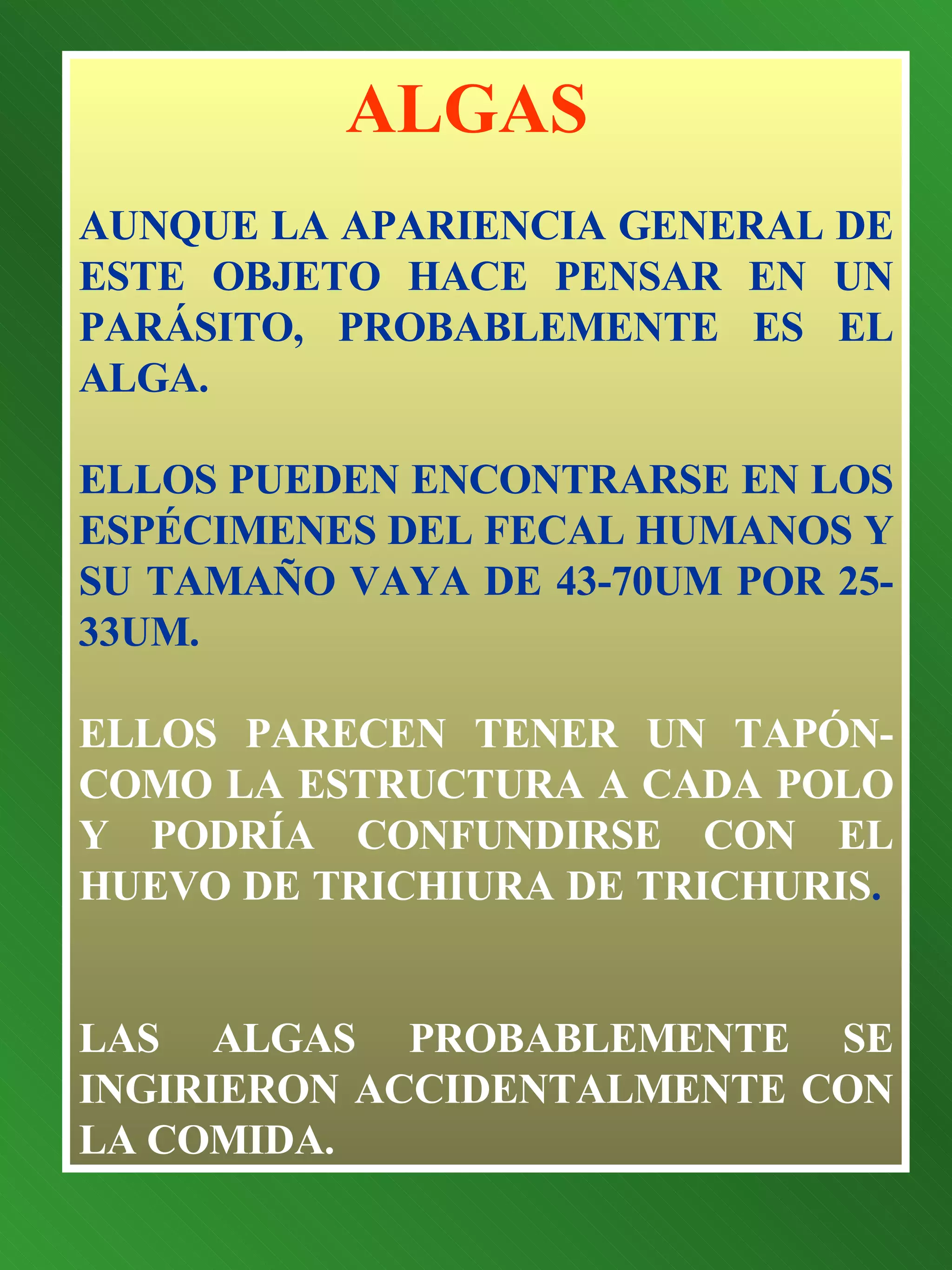 Artefactos En Coprologia | PPT