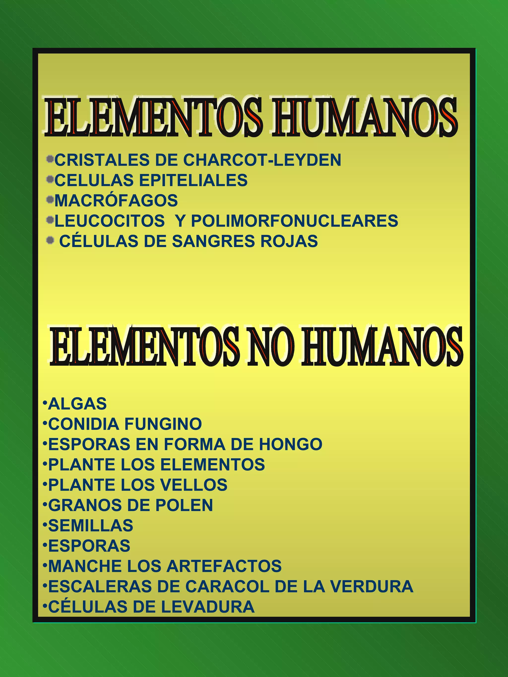 Artefactos En Coprologia | PPT