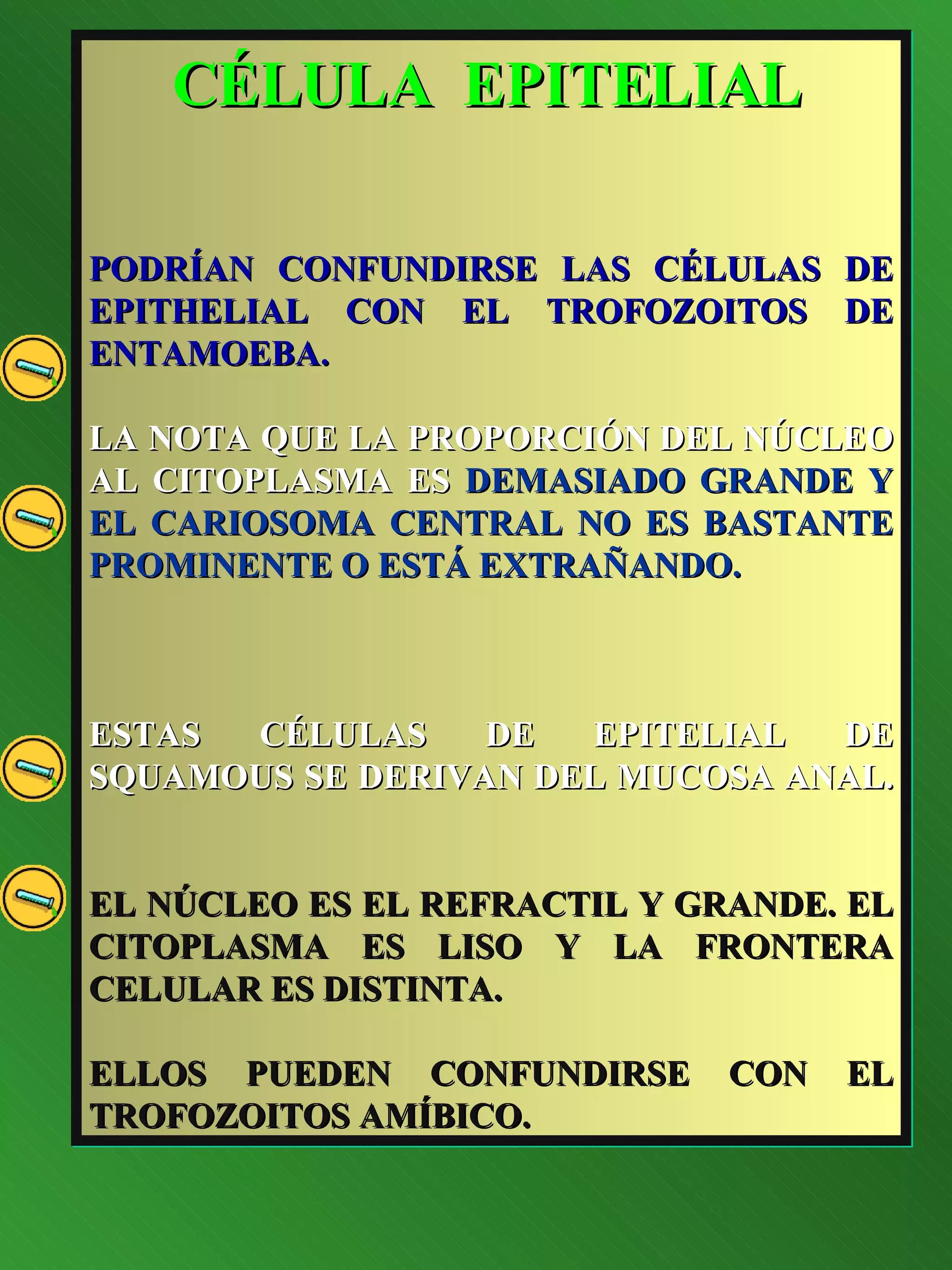 Artefactos En Coprologia | PPT