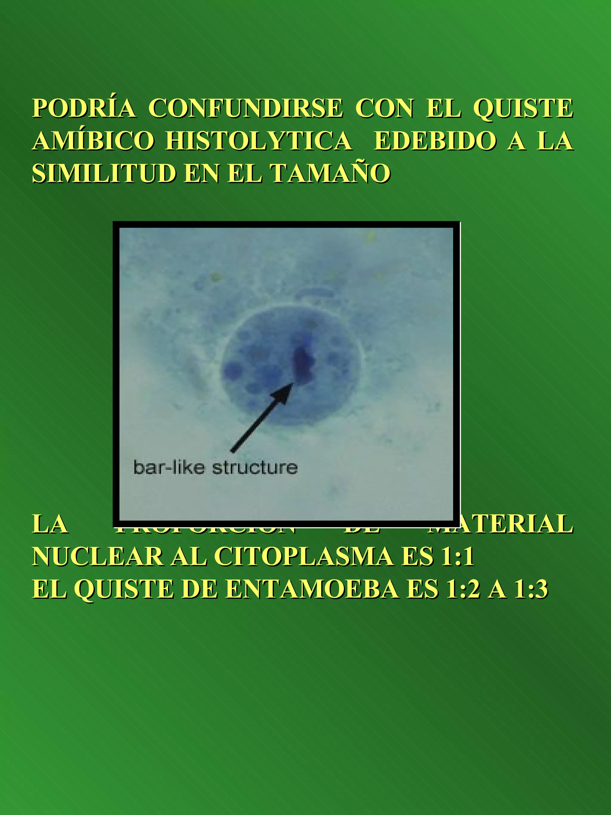 Artefactos En Coprologia | PPT