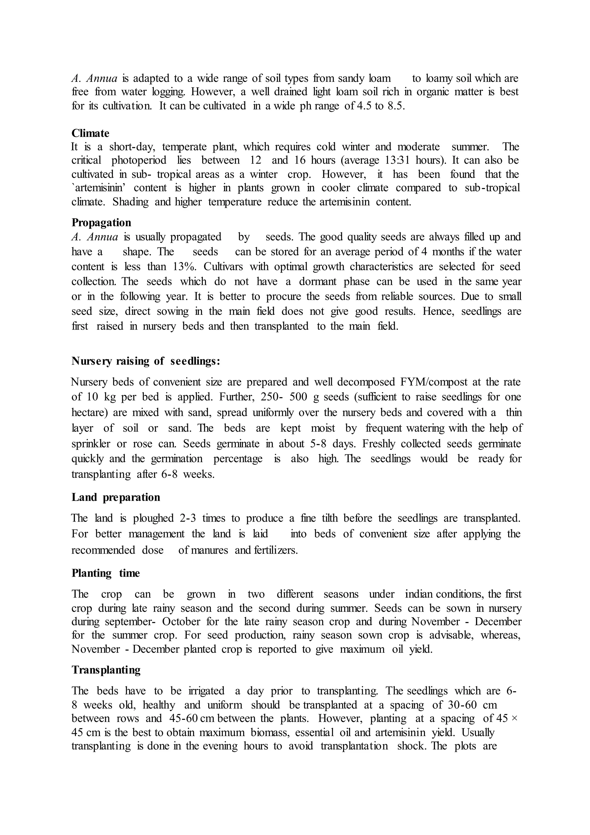 Artemesia | DOCX