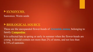 ARTEMISIA plant medicinal plant & details | PPTX | Chemistry | Science