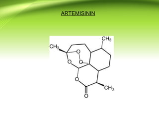 Artemisinin | PPT