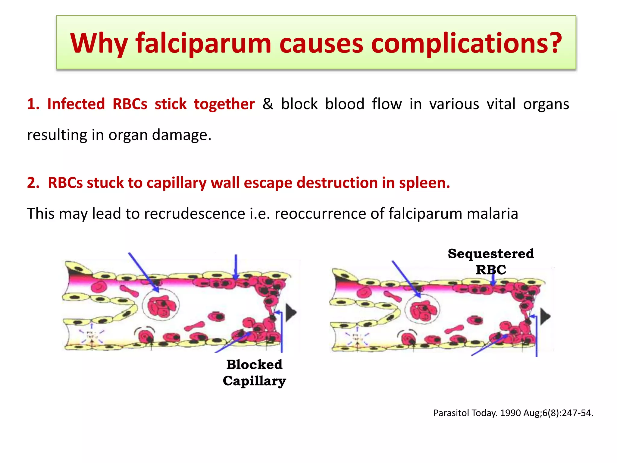 Artemisinin based combination therapy | PPTX
