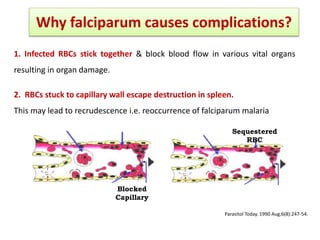 Artemisinin based combination therapy | PPTX